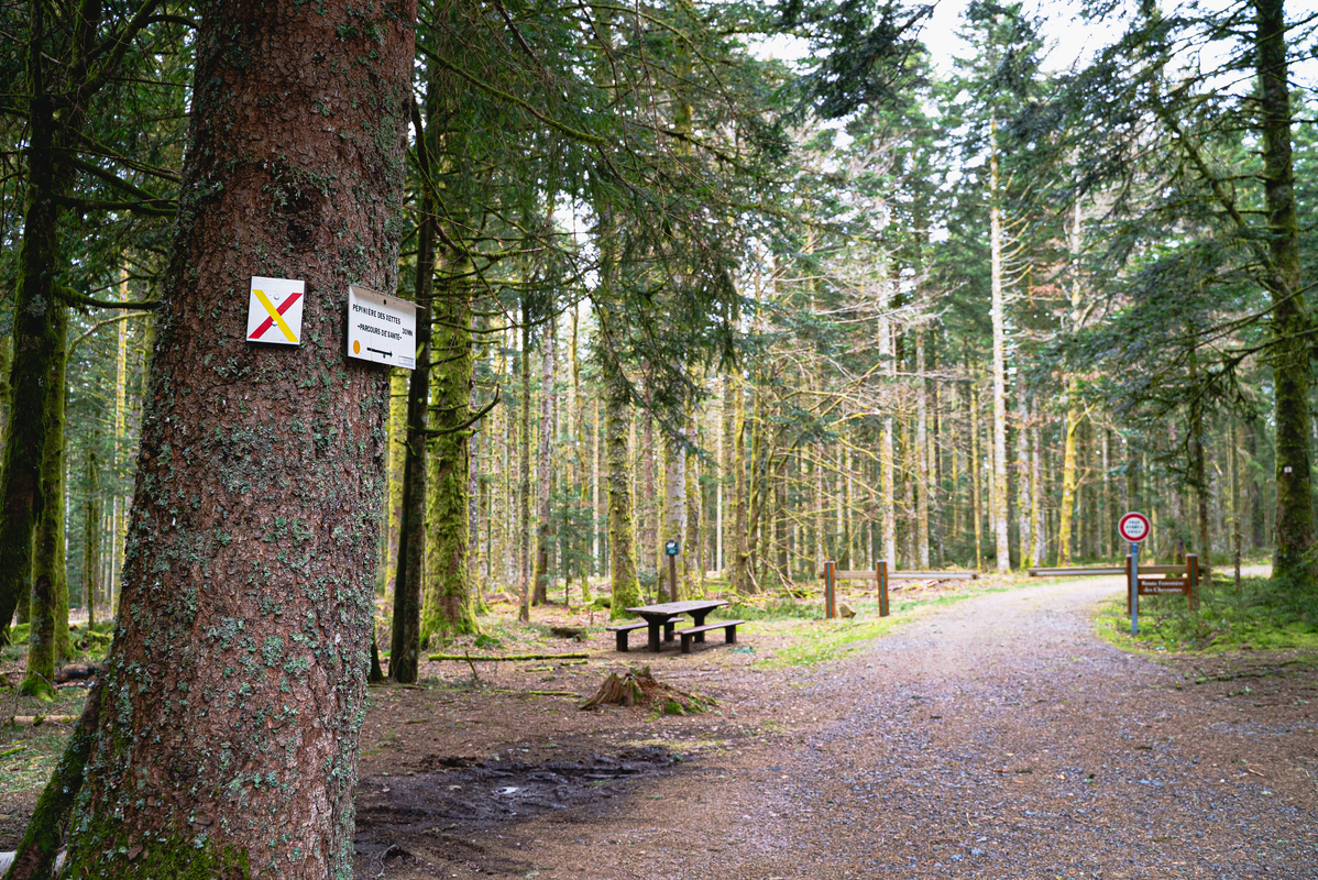 Gérardmer, la « perle des Vosges », ploie sous le tourisme