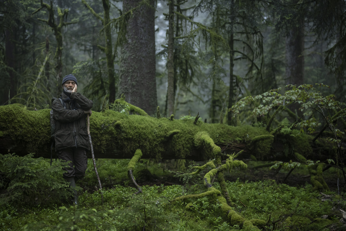 Vincent Munier, le photographe animalier qui veut « que l’on regarde ...