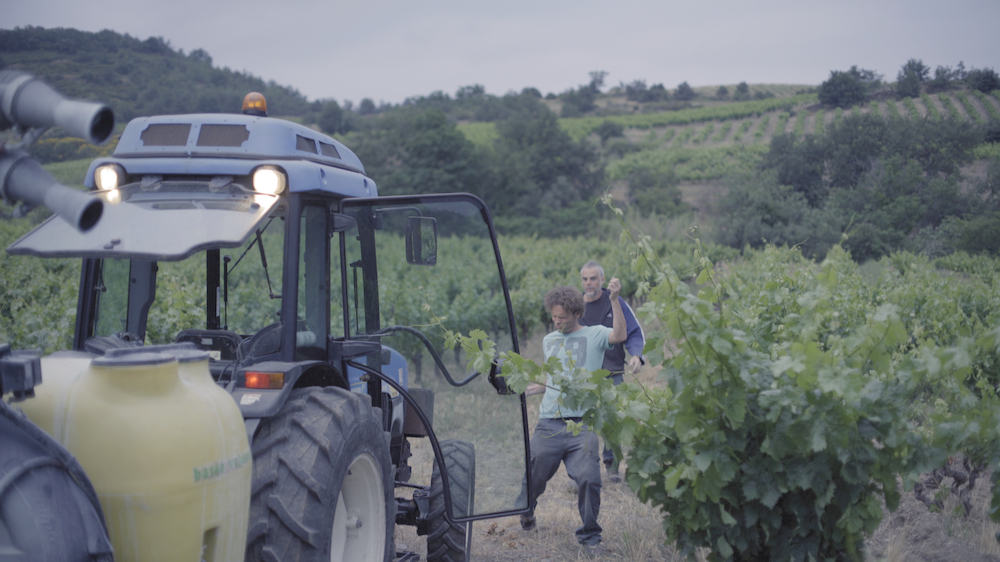 « Wine Calling », l’appel des vins nature