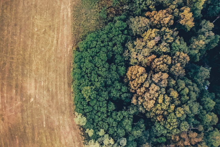 Déforestation, obésité : l’ONU chiffre les coûts cachés de notre ...